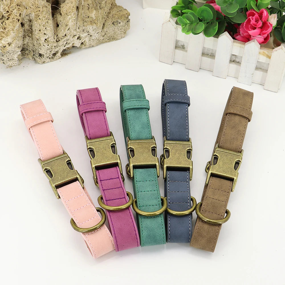 Coco Chic – PetJoy
