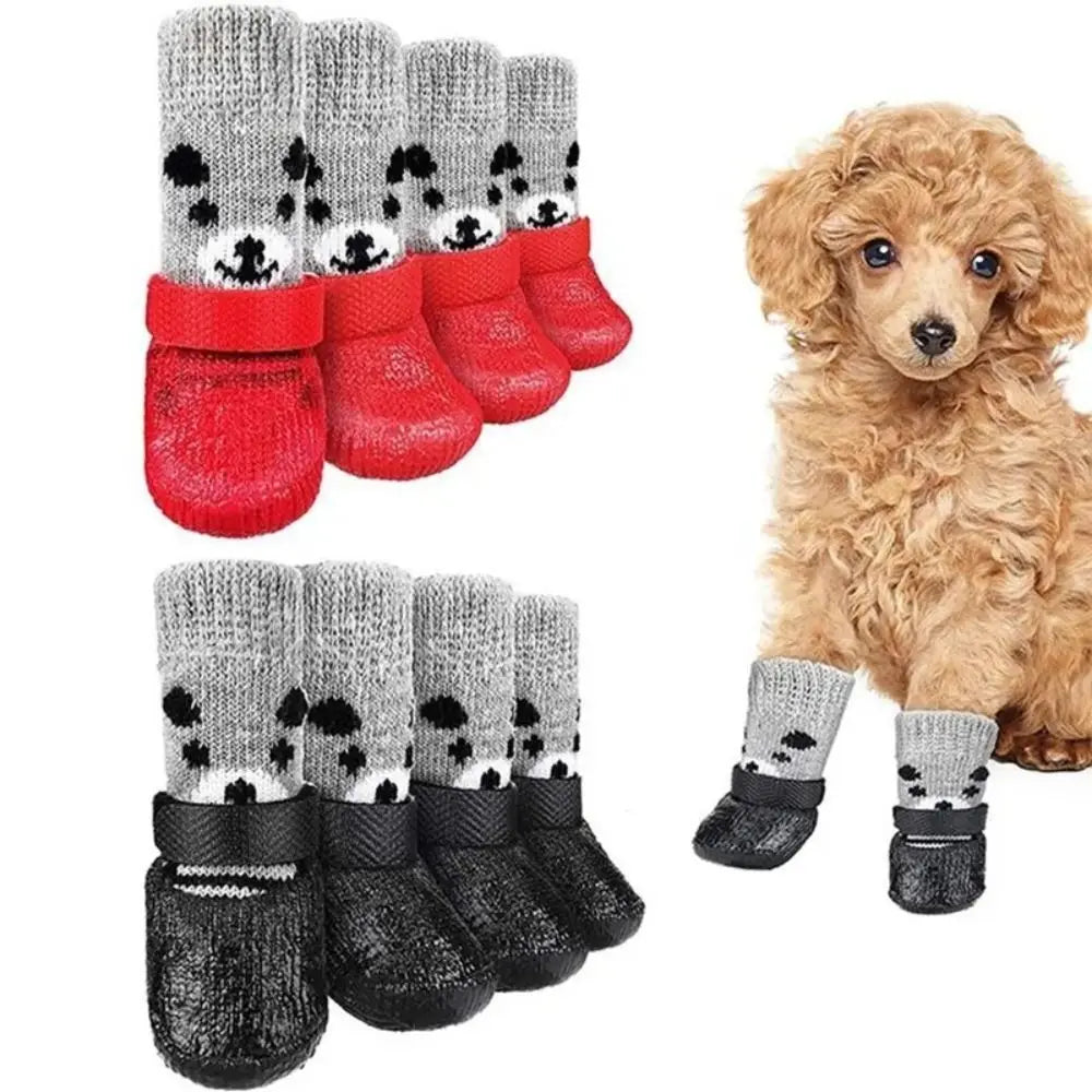 Paw Guard – PetJoy
