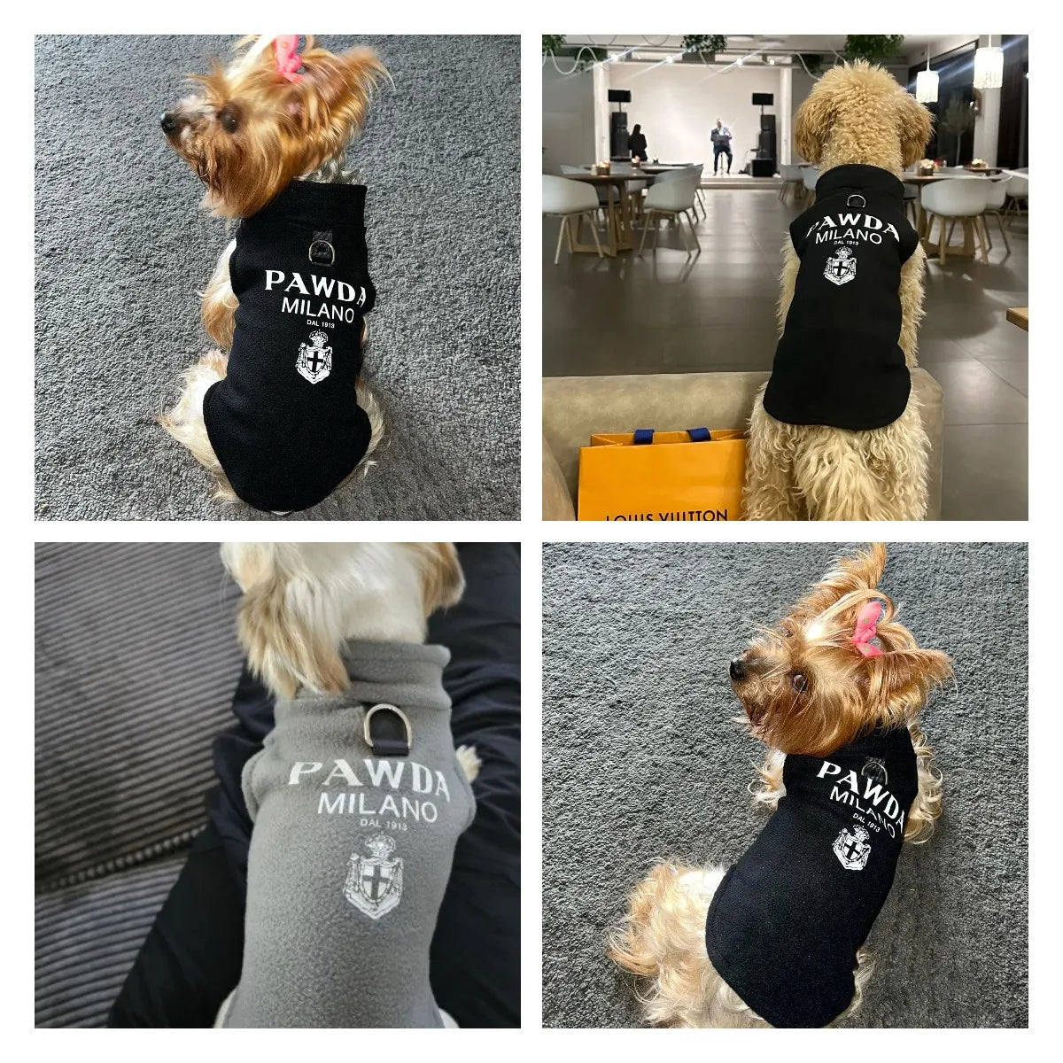 Pawda – PetJoy