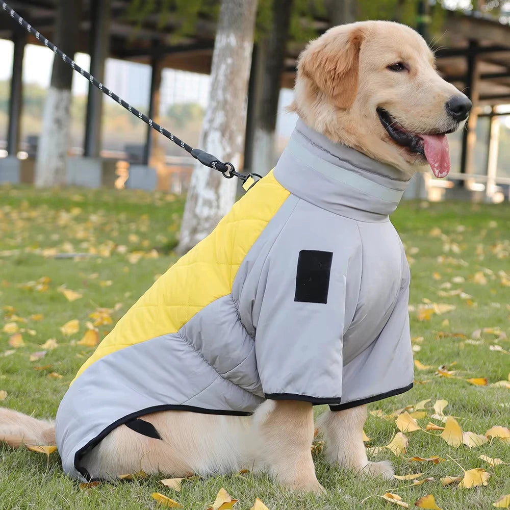 Chill Proof – PetJoy